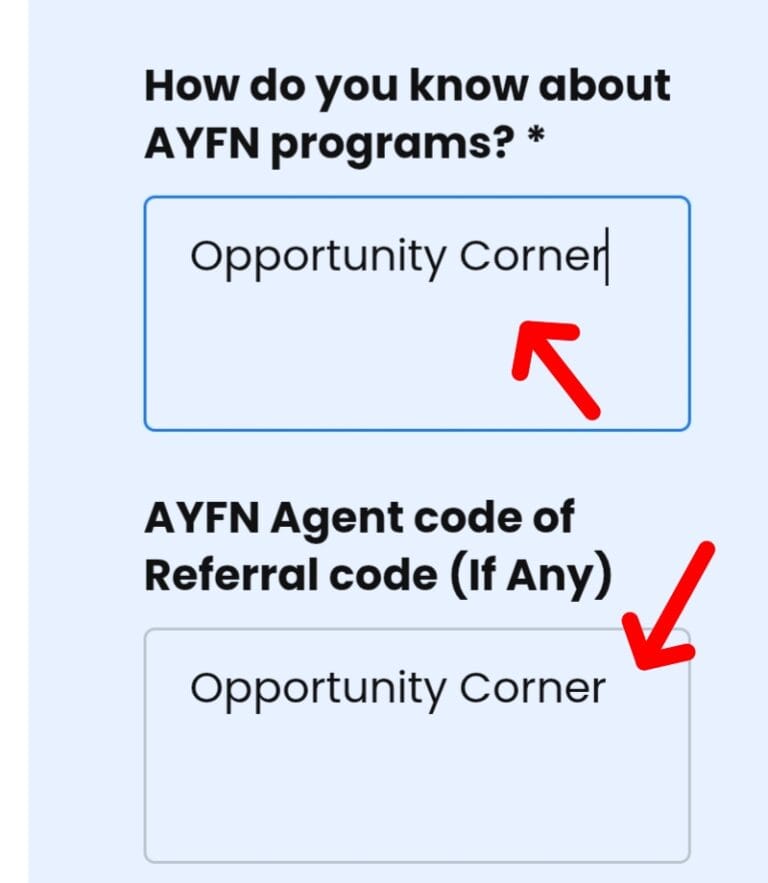 AYFN Japan WINTER Culture Camp 2026 (Fully Funded)