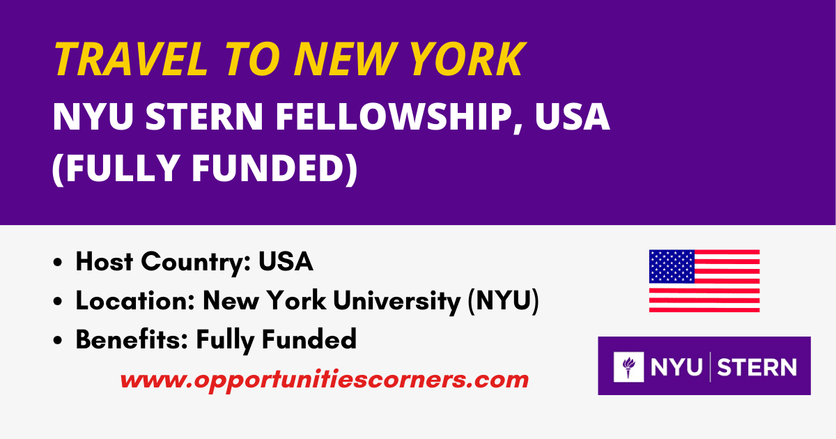 NYU Stern Fellowship 2026 in New York, USA (Fully Funded)